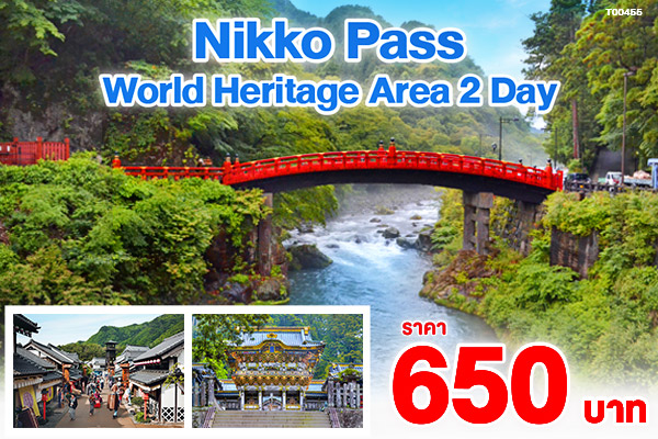 Japan Nikko Pass World Heritage Area 2 Day
