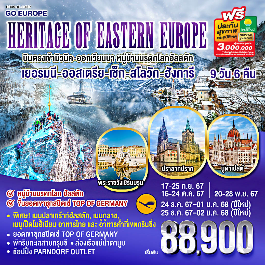 Go 365 Travel