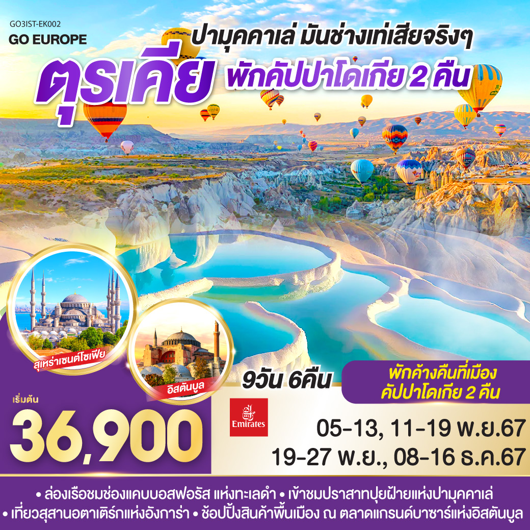 Go 365 Travel