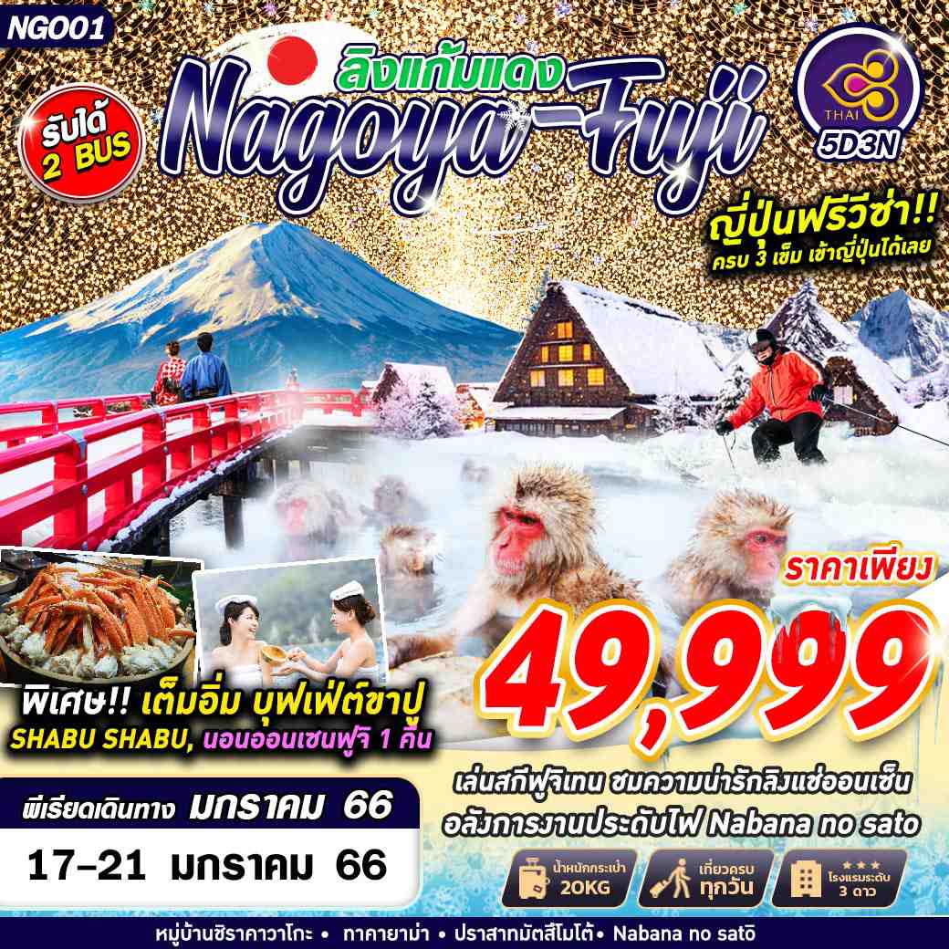 NAGOYA-FUJI BKK ลิงแก้มแดง 5D3N ขึ้น-ลง นาโกย่า โดยสายการบิน Thai ...