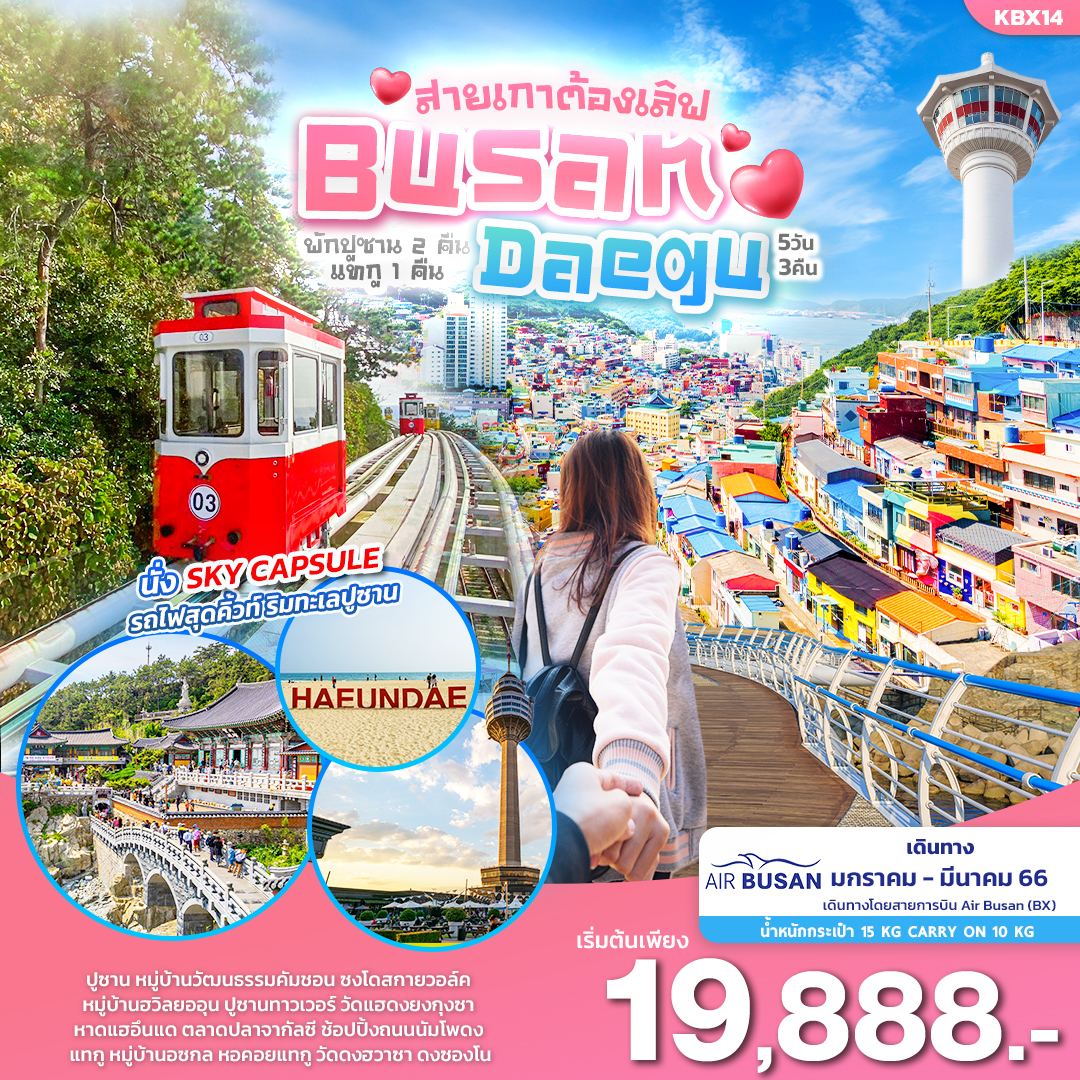 สายเกาต้องเลิฟฟ Busan Daegu ทัวร์ปูซาน-แทกู 5วัน 3คืน โดยสายการบิน AIR ...