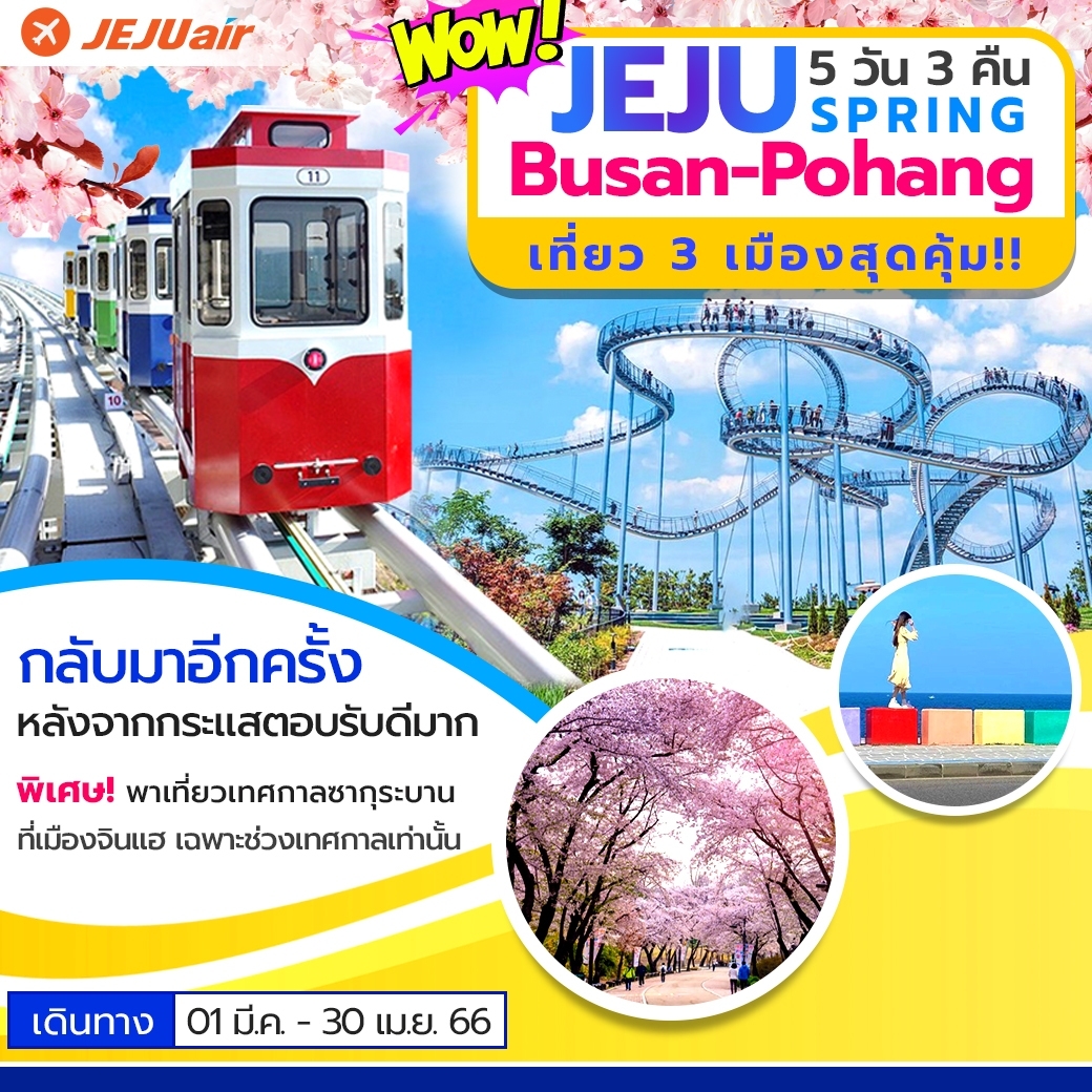 เกาหลี Wow Jeju Busan Pohang Spring 5 วัน 3 คืน โดยสายการบิน Jeju Air ...